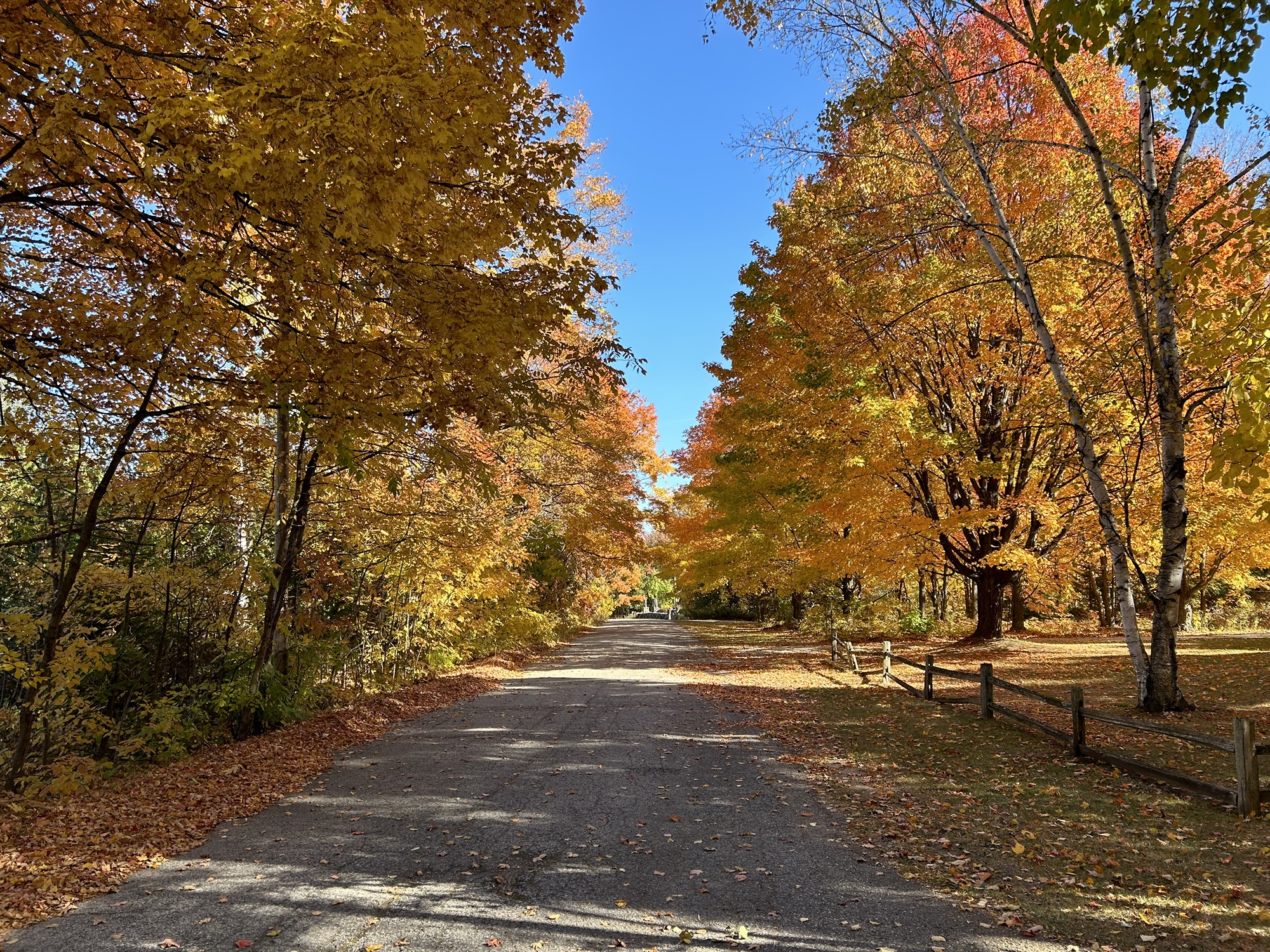 Peak Color | Starting to Look Up